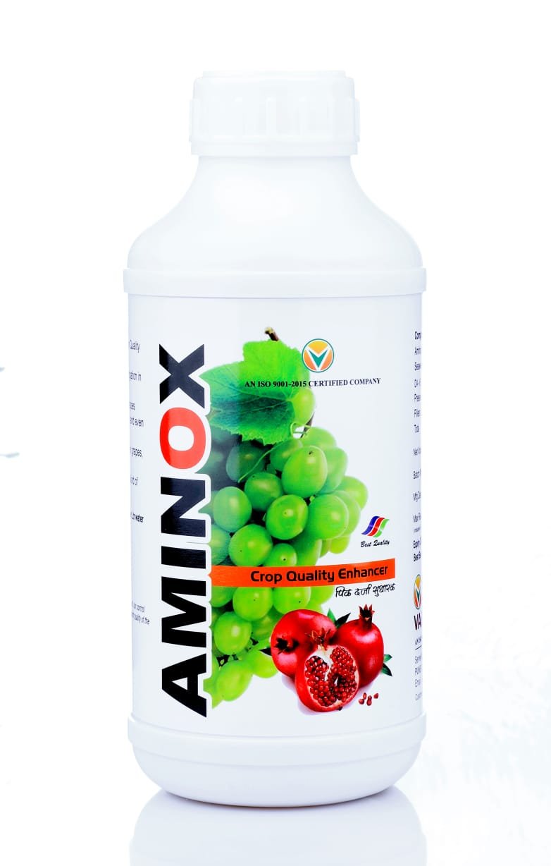 Aminox( size luster and quilty)